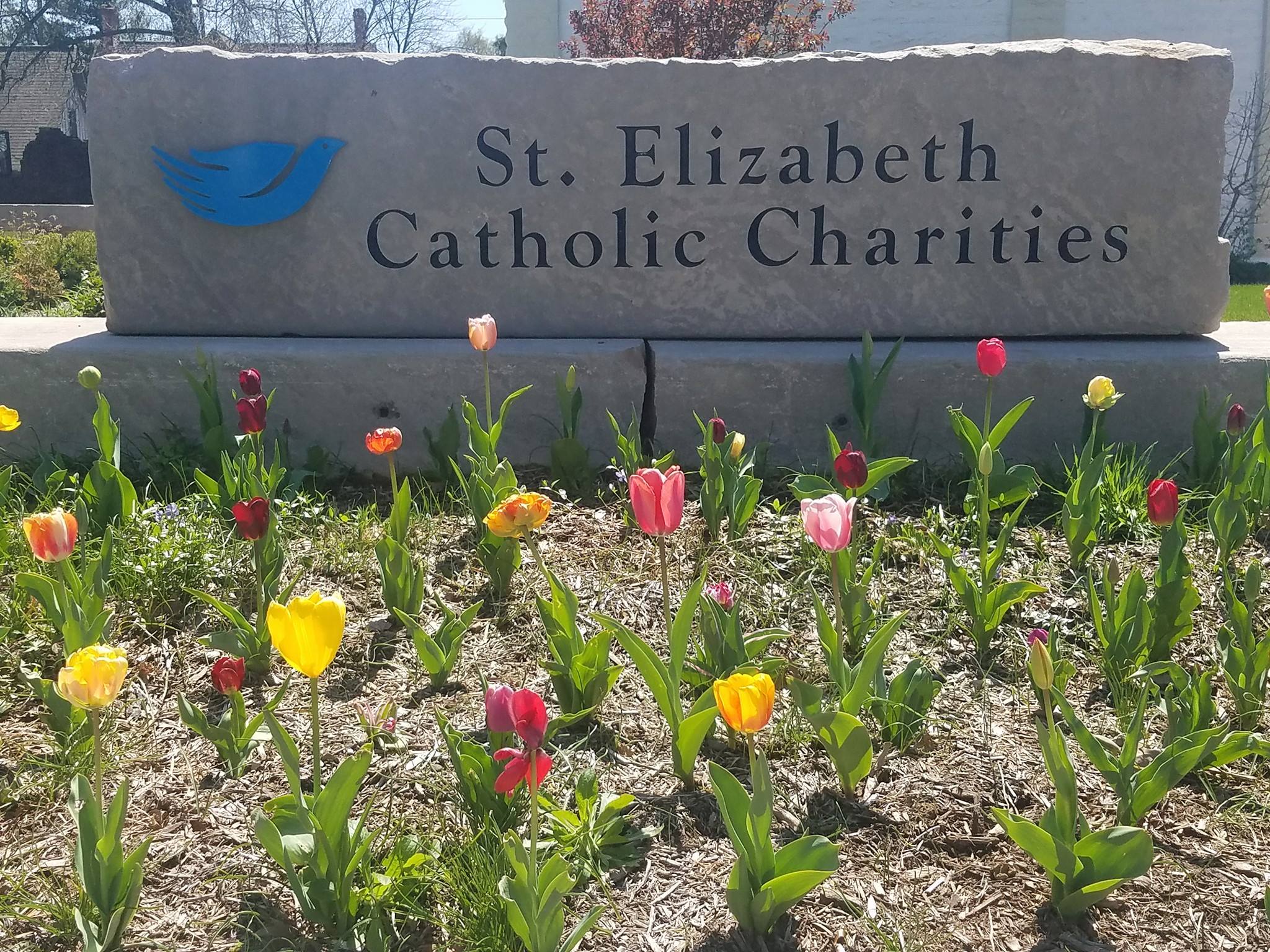 Our History – St. Elizabeth Catholic Charities